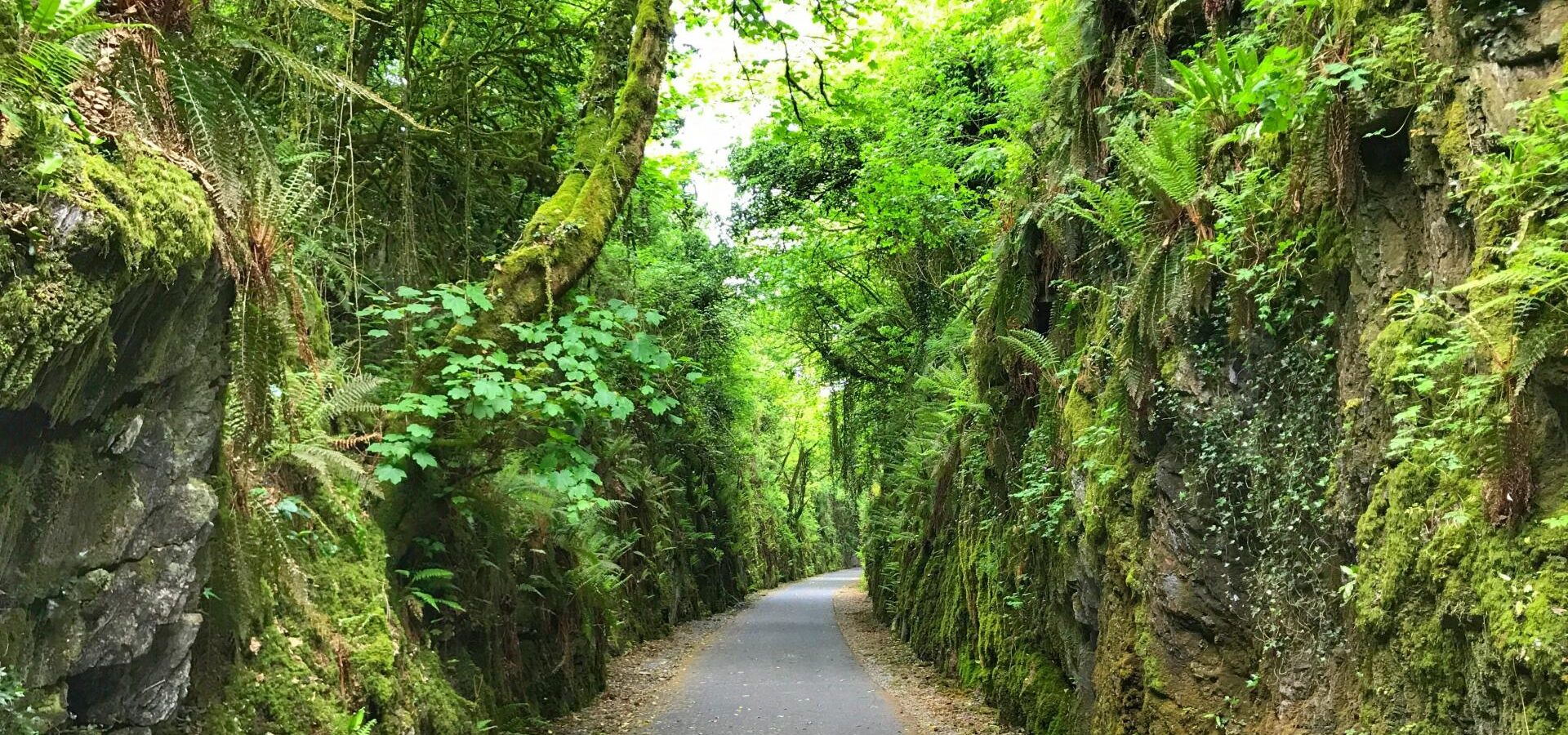 Tips For The Greenway | Park Hotel Dungarvan